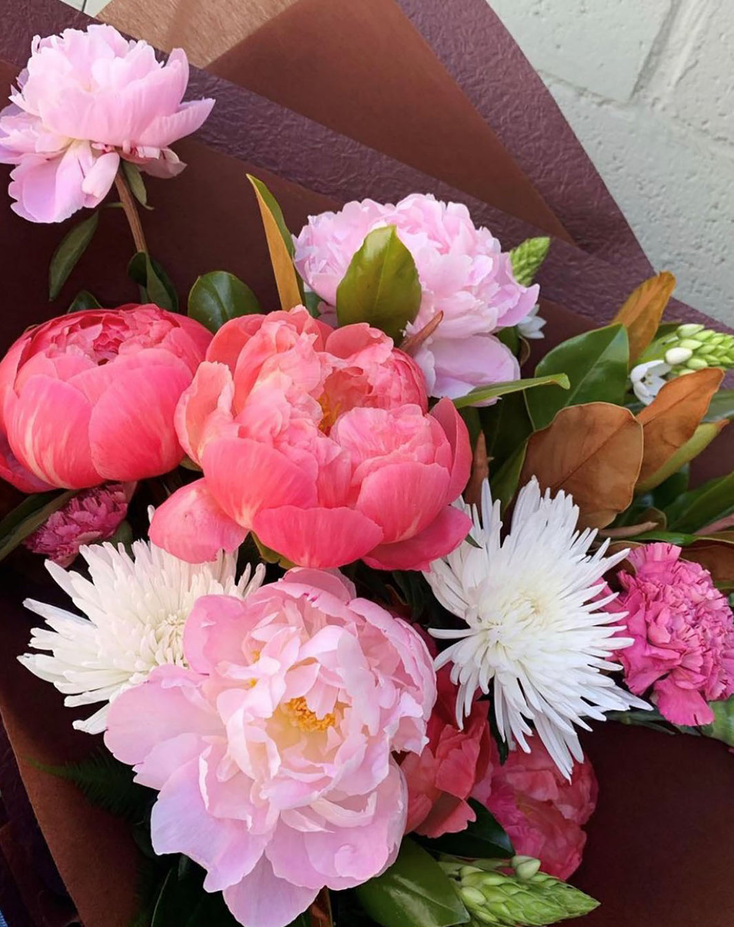 Flowers – Flora Gondwana