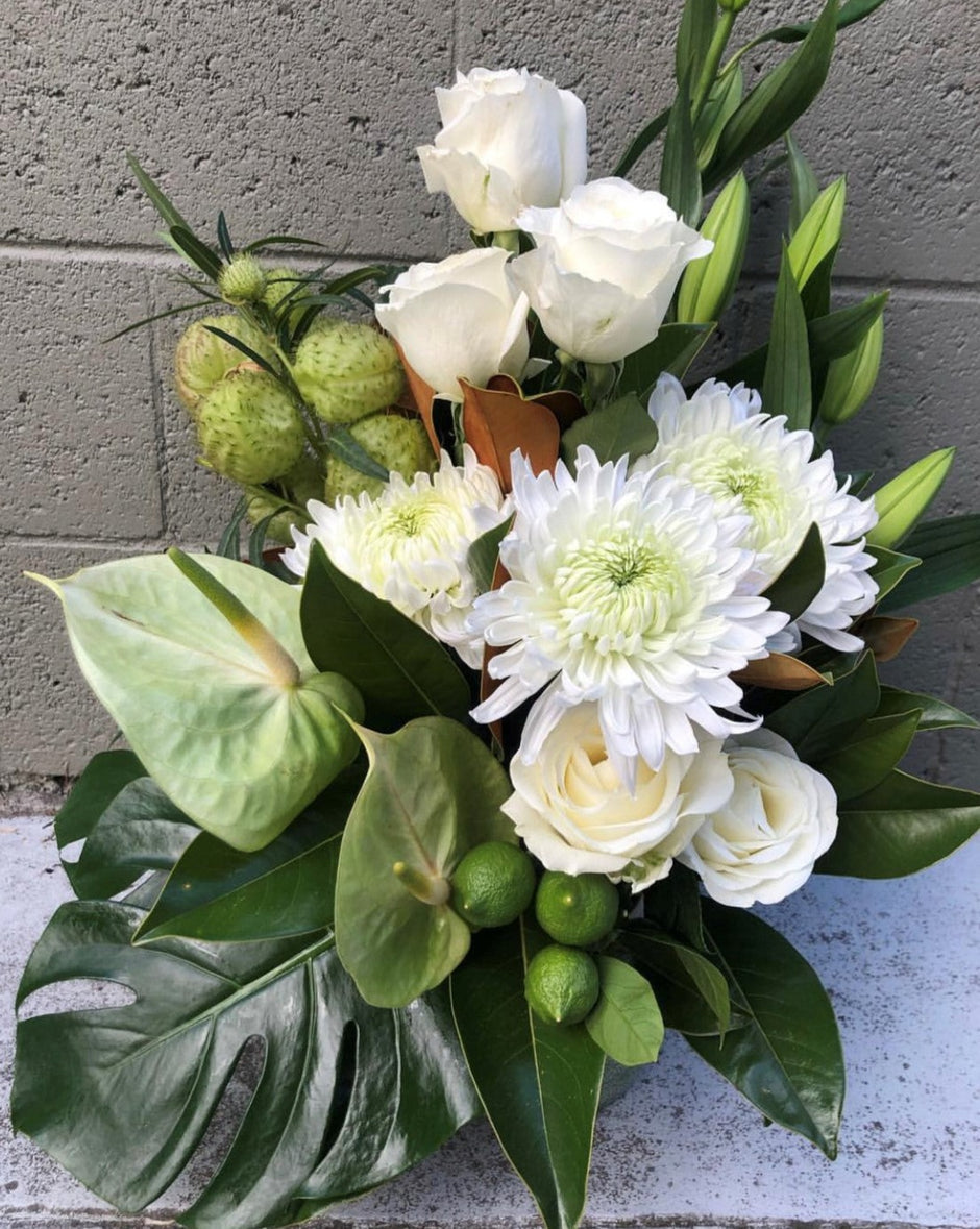 Flowers – Flora Gondwana